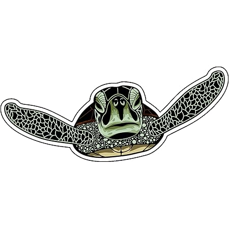 Amazon.com: Sea Turtle Sticker Full Color Car Window Bumper Decal ...