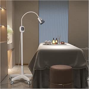 Amazon.com: NQNFWCRJ Dimmable LED Shadowless Light Surgical Auxiliary ...