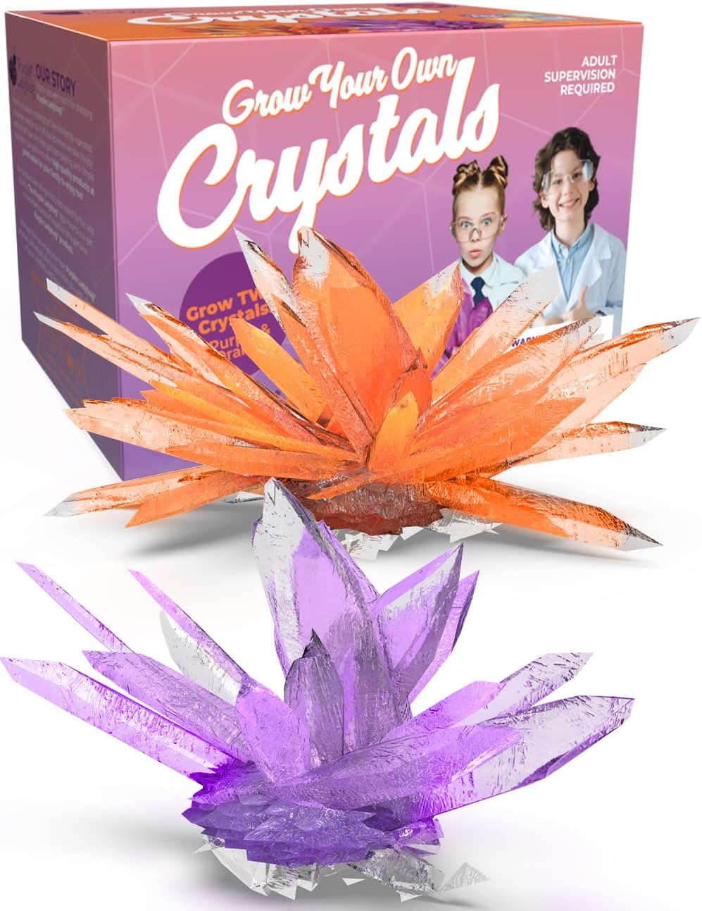 Amazon.com: PURPLE LADYBUG Crystal Growing Kit for Kids - Grow 2 Large ...