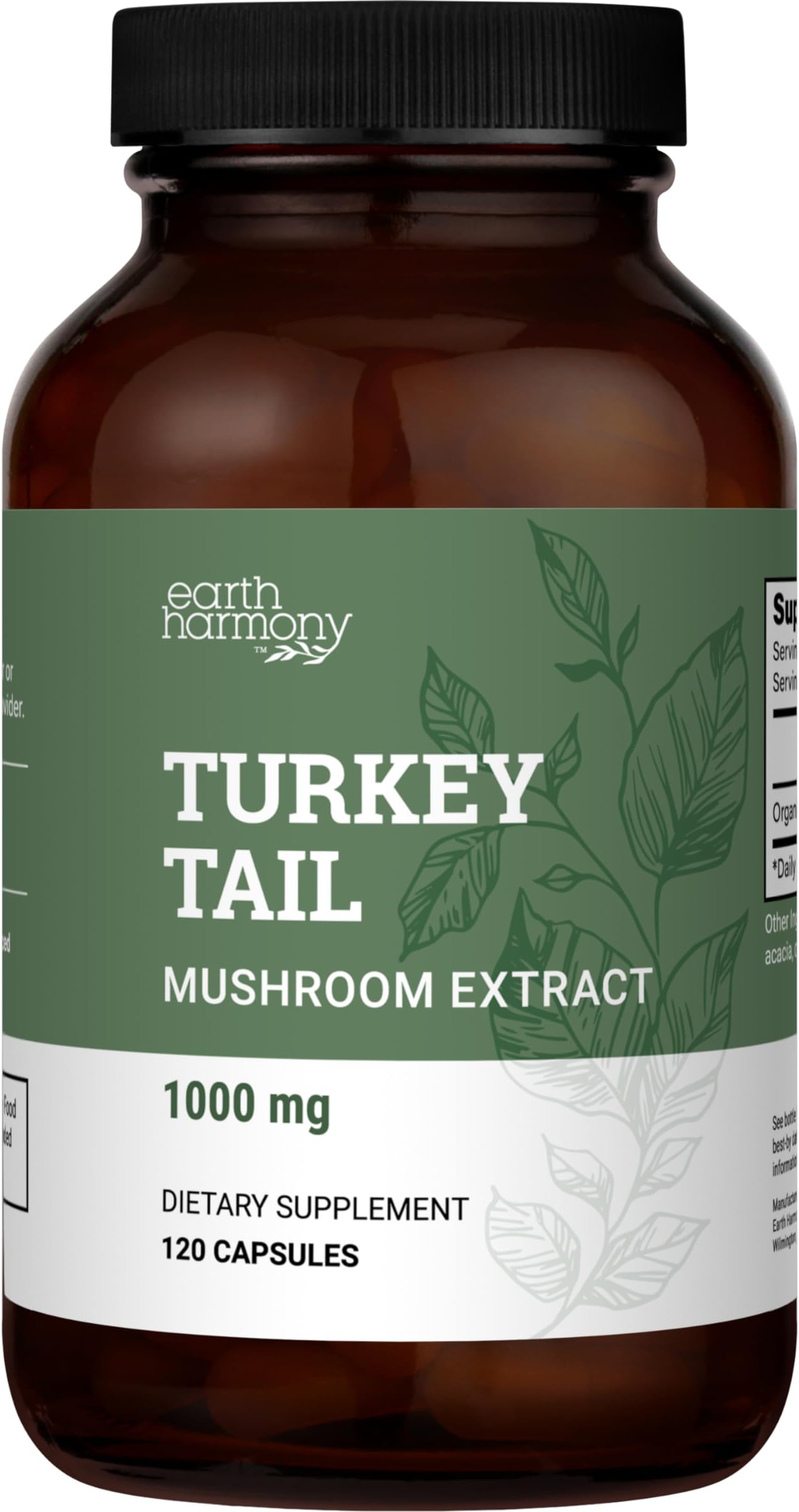 Amazon.com: ORIVeDA PSP-50 (Turkey Tail Extract - 180 v-Capsules ...