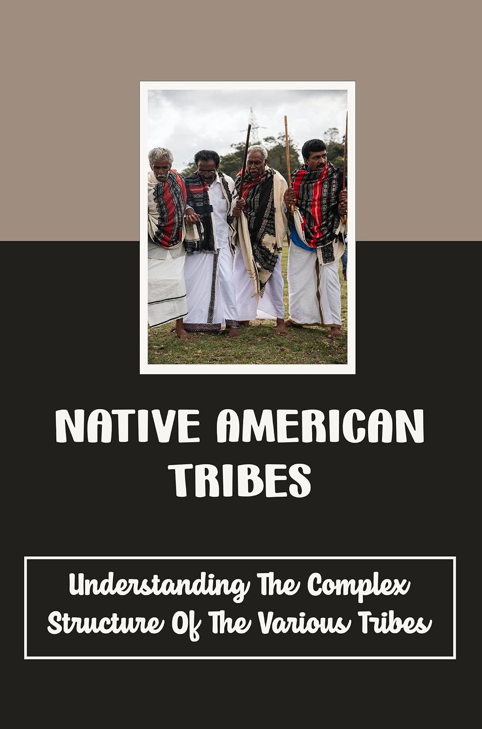 Amazon.com: Native American Tribes: Understanding The Complex Structure ...