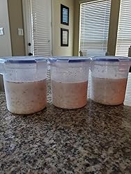Amazon.com: Overnight Oats Container with Lids (4-Piece set) - 16 oz Plastic Containers with ...