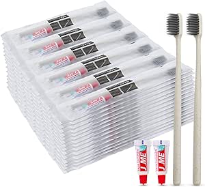 Amazon.com : 100 Count Disposable Toothbrushes with Mini Toothpaste ...