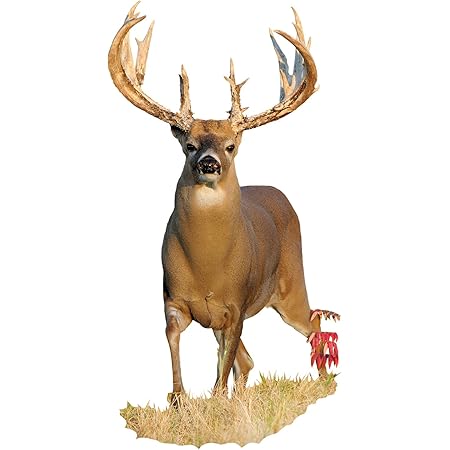 Amazon.com: Mossy Oak Graphics ( 22041-C) 'Deer Bedded Buck' Cut-Out ...