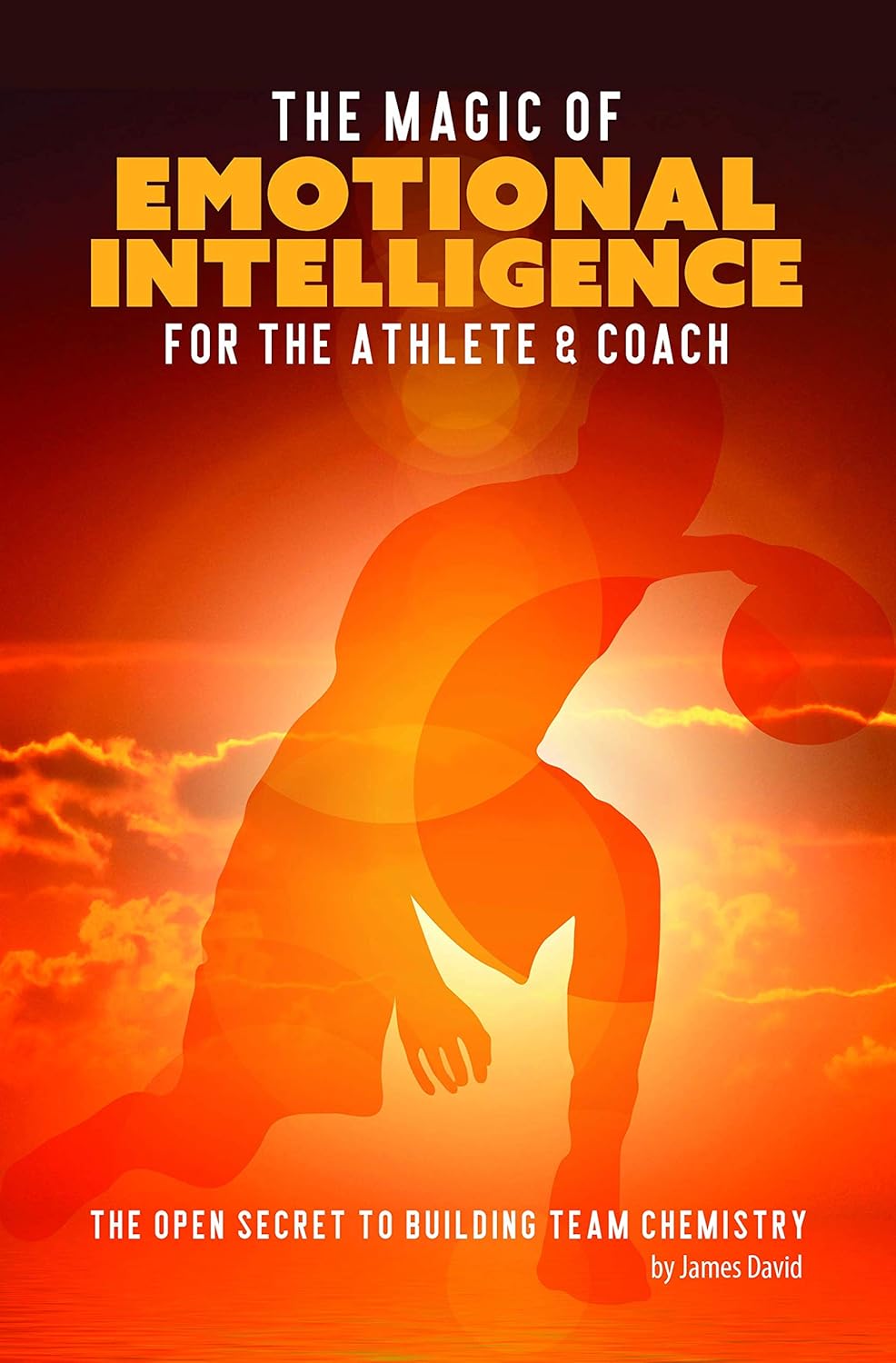 The Magic of Emotional Intelligence For The Athlete and Coach The Open ...