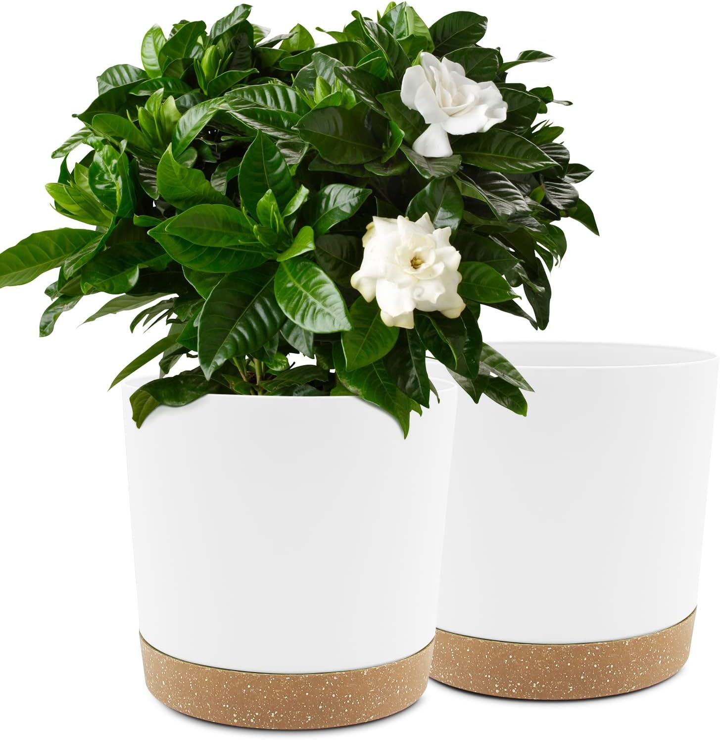 Amazon.com : Classic Home and Garden Corinthian Resin Flower Pot ...