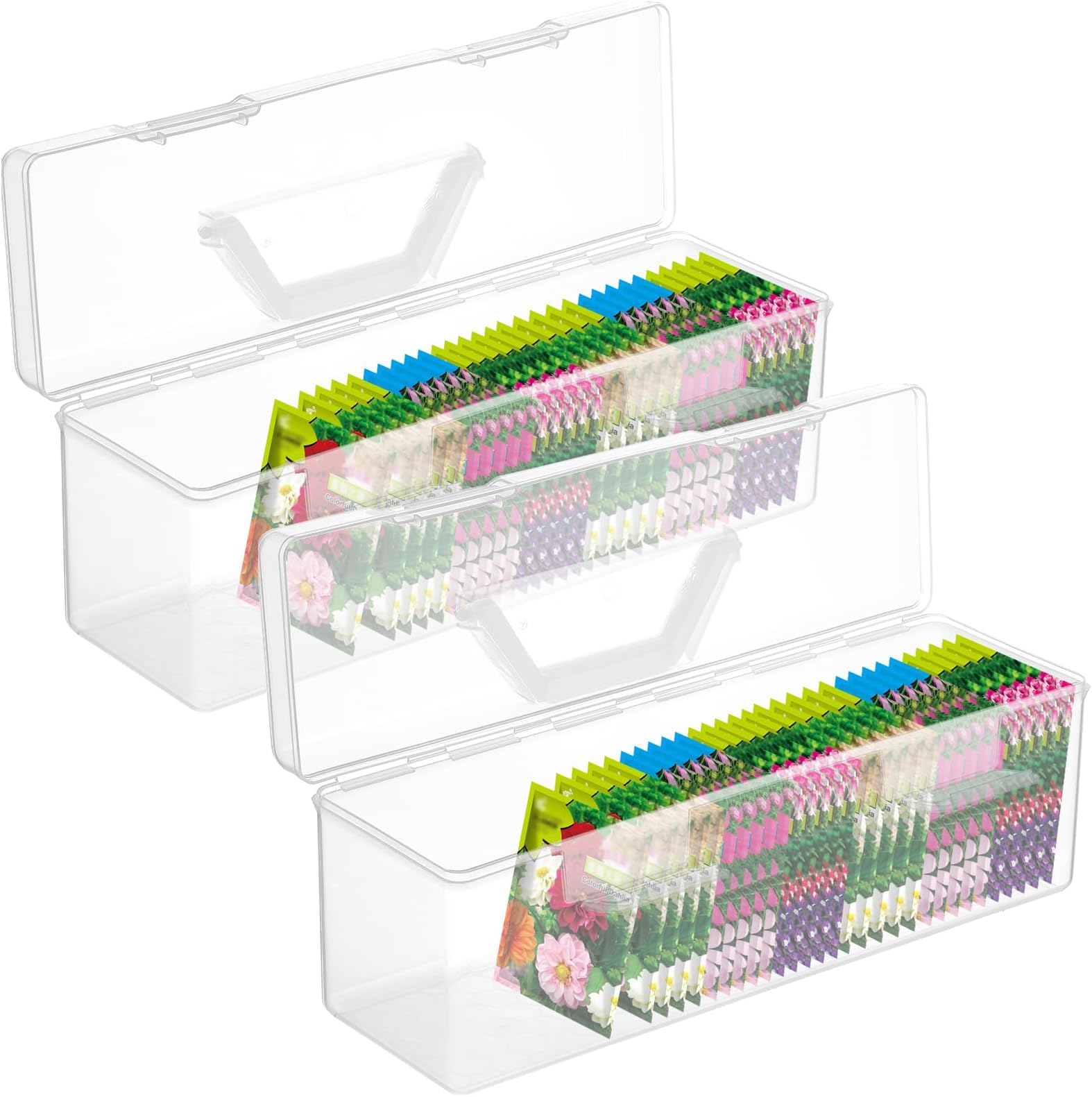 Amazon.com: Seed Storage Container and Organizer Box for your Garden ...