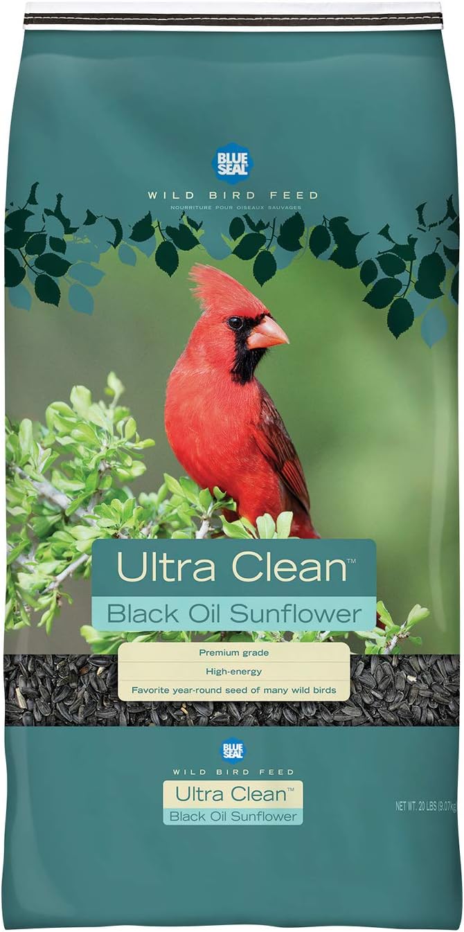 Amazon.com : Blue Seal Premium Black Oil Sunflower Wild Bird Seed, High ...