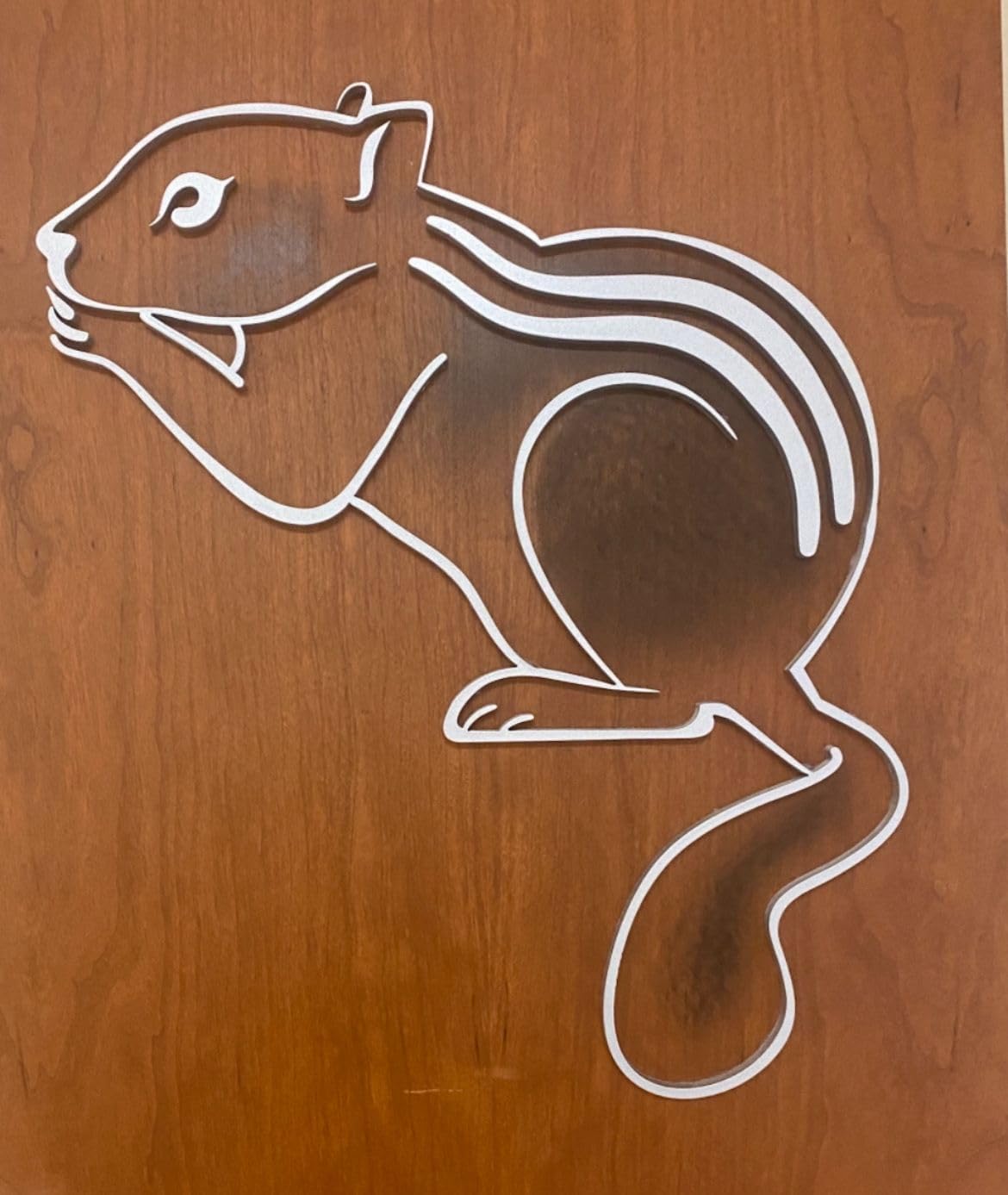 Amazon.com: Soaj My Adaptable Squirrel Vinyl Decal Sticker - White ...