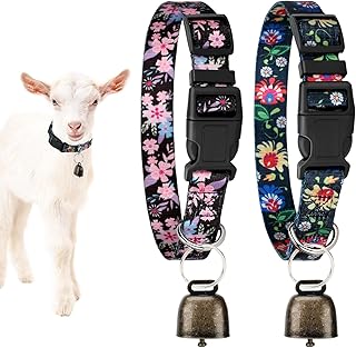 Goat Gender: Female Nomenclature | PetShun