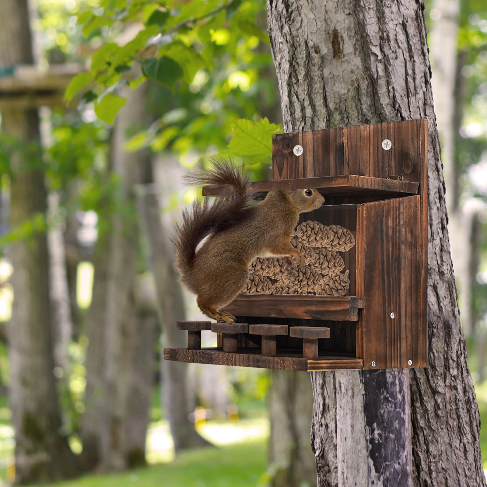 Snapklik.com : KHayRovies Squirrel Feeder Table For Outside, Wooden ...