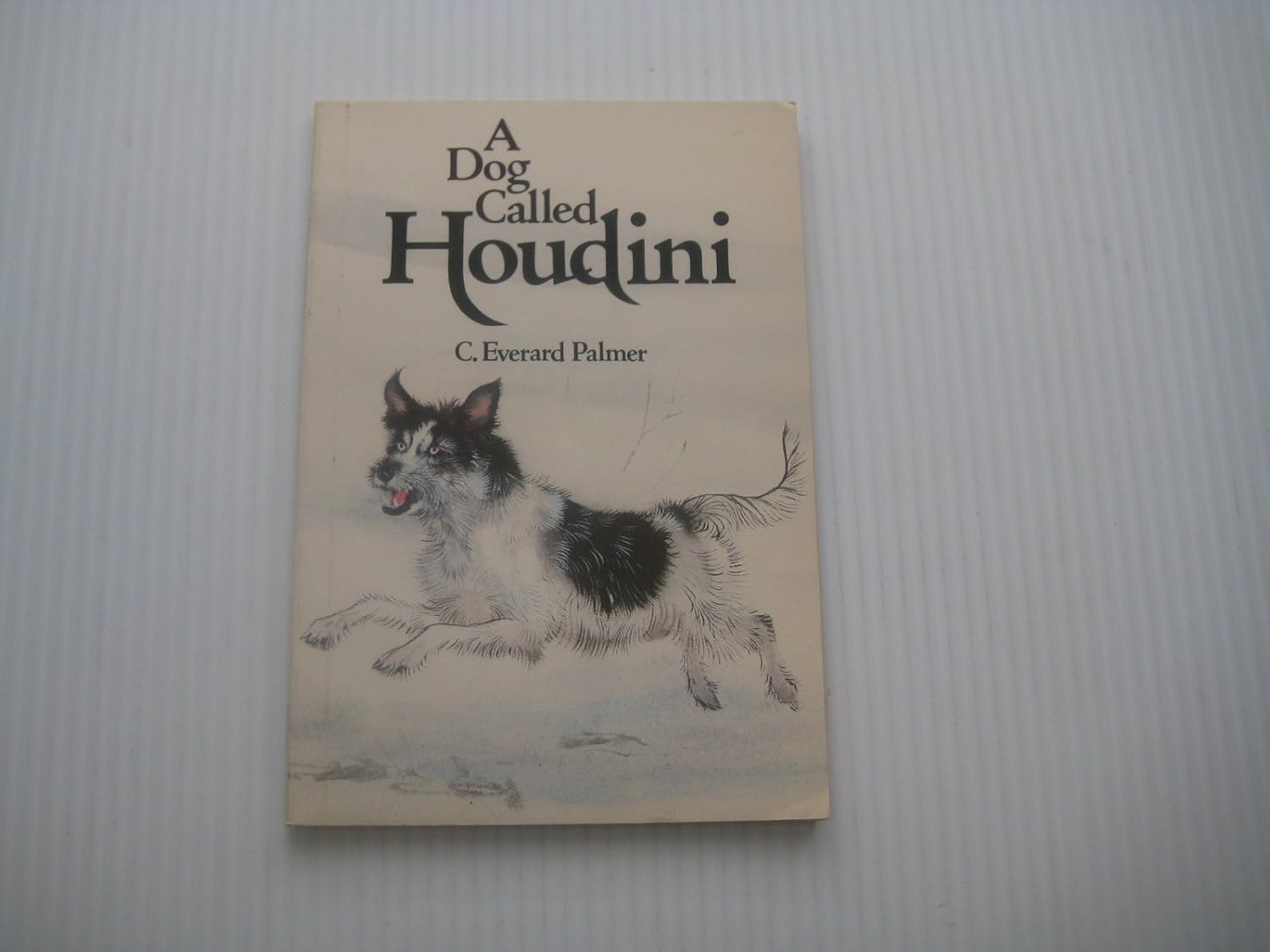 Amazon.com: A Dog Called Houdini: 9780590710664: C. Everard Palmer: Books