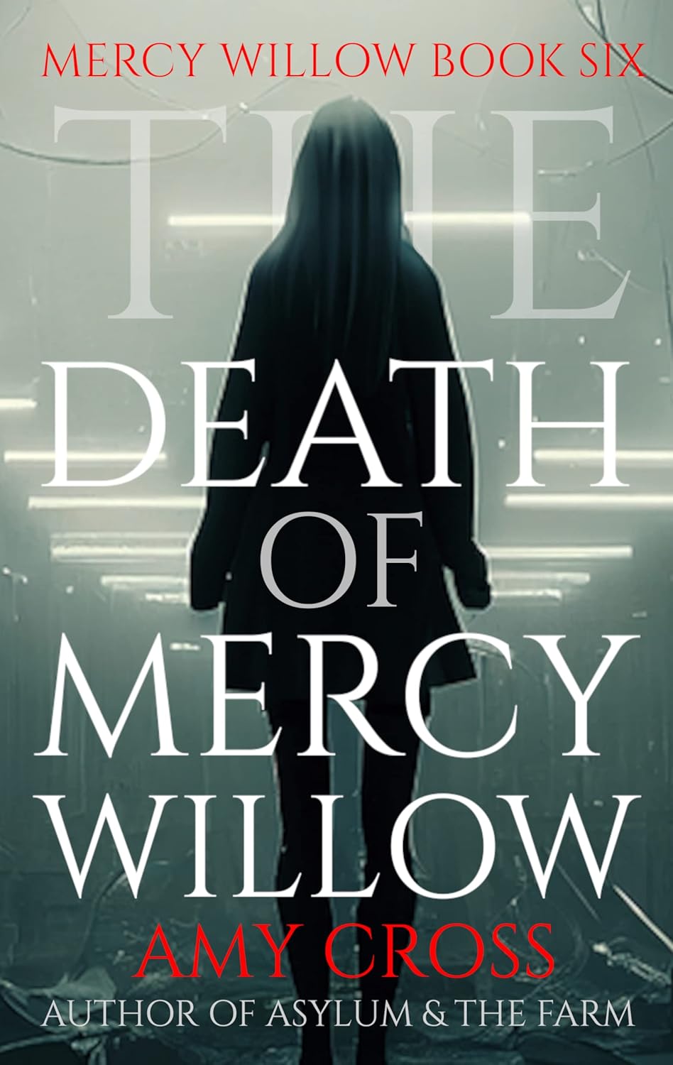 Amazon.com: The Death of Mercy Willow eBook : Cross, Amy: Books