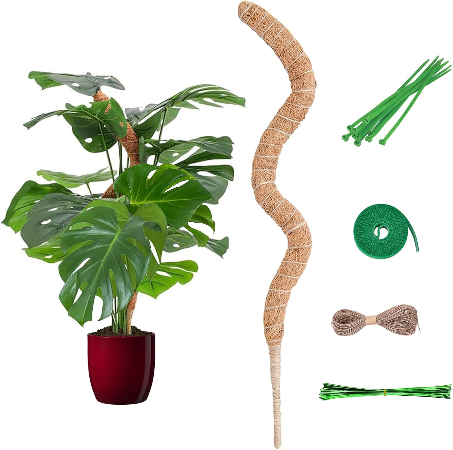 tallkeey Monstera Rankhilfe, 114cm Pflanzenstütze Pflanzstab Kokos ...