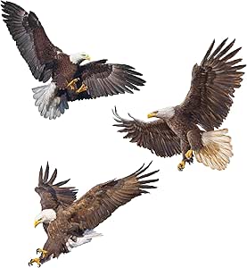 Amazon.com: PLIGREAT 3 Pcs Flying Bald Eagles Birds Wall Stickers ...