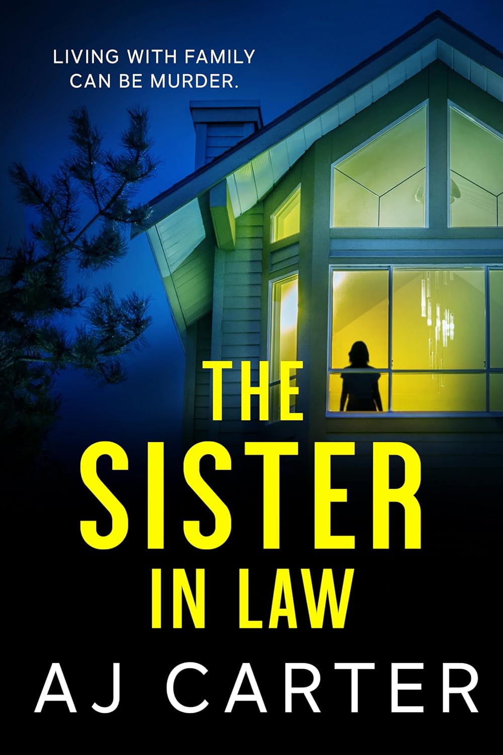 The Sister-in-Law (Standalone Psychological Thrillers) eBook : Carter ...