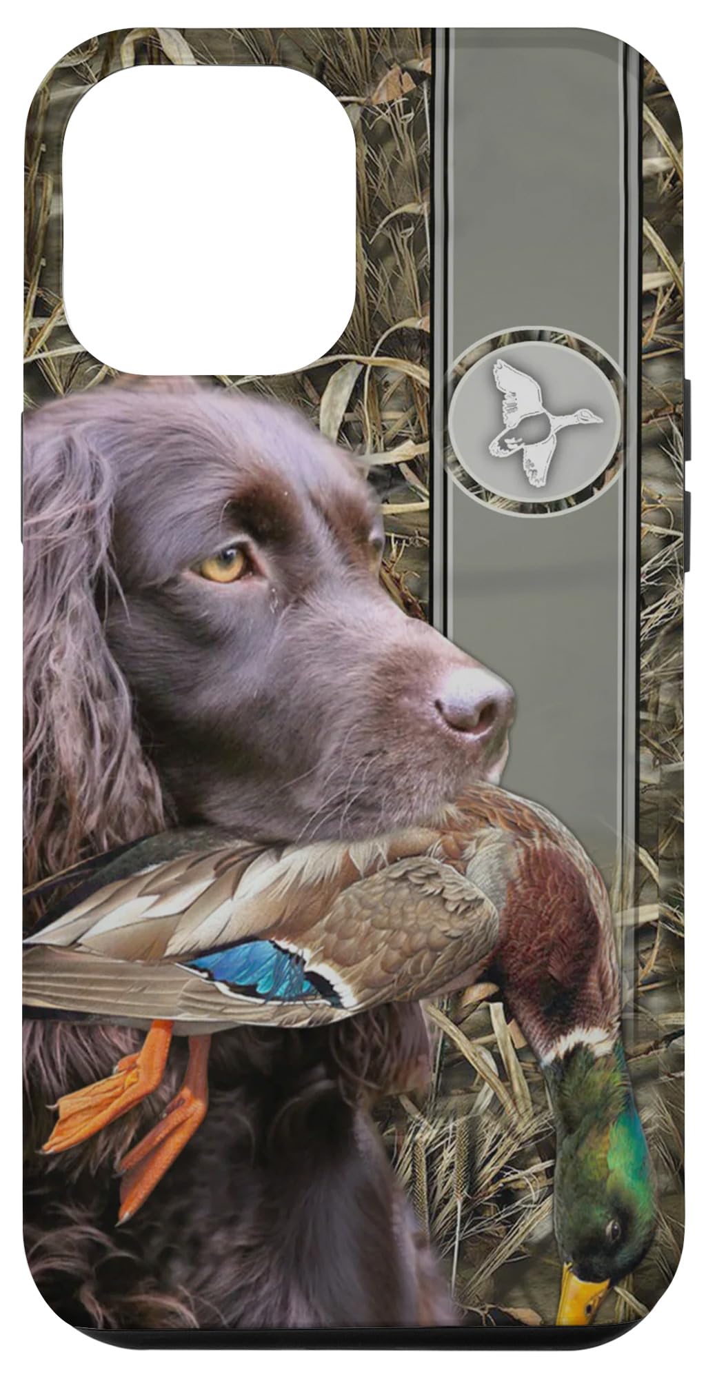Boykin Spaniel Duck Hunting