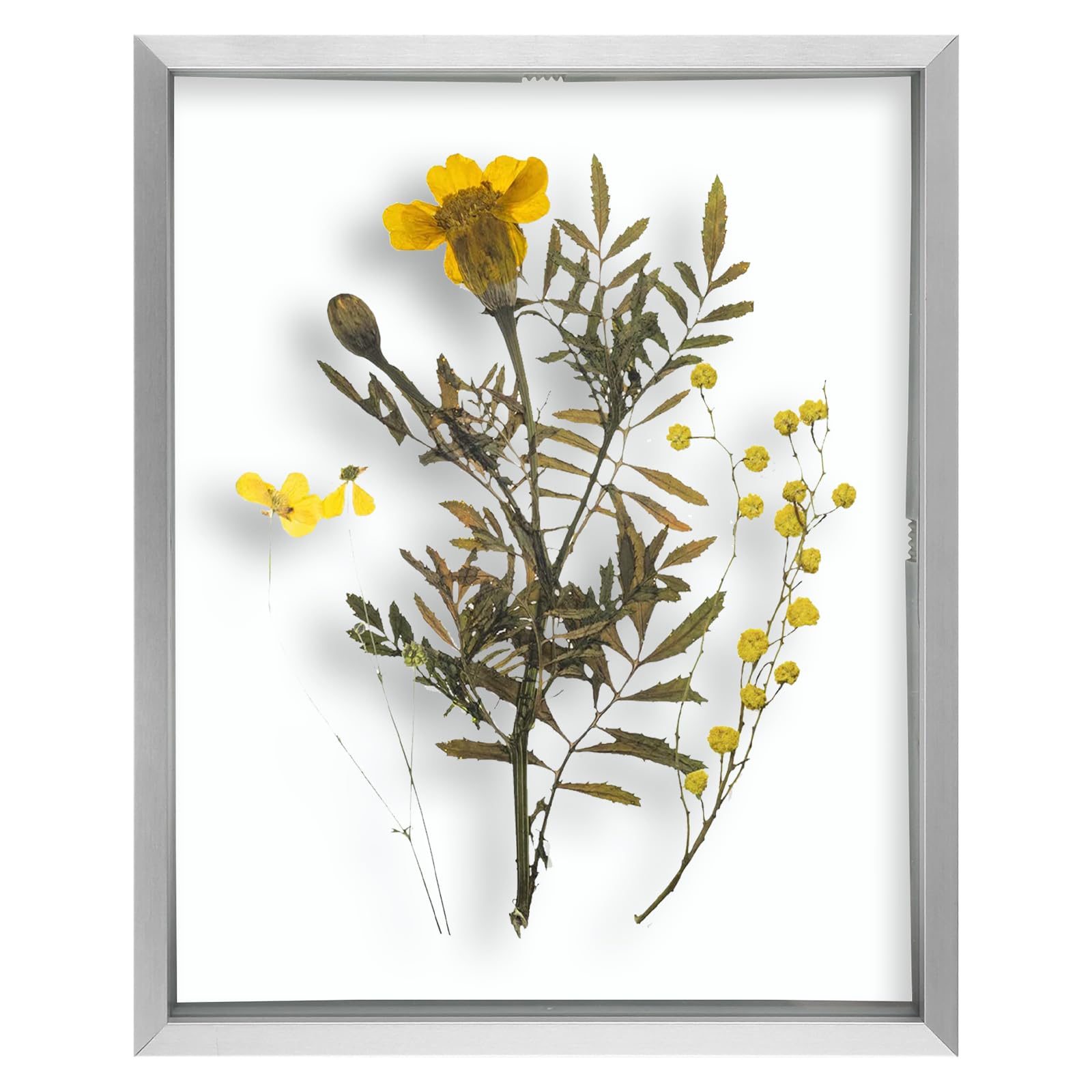 Amazon.com - Frametory, Floating Picture Frame 8x10 - Silver Aluminum ...