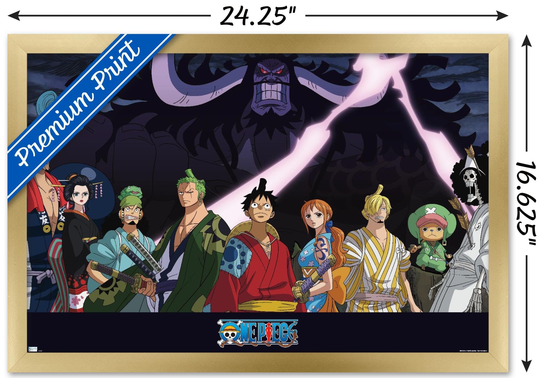 Cadre One Piece Kaido - Manga City One Piece Poster