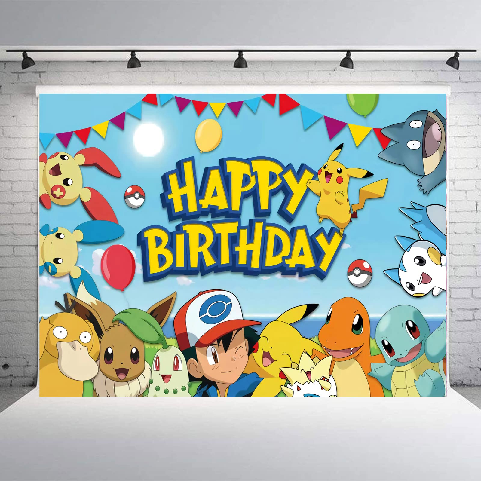 Anime Birthday Party Supplies Party Decorations Cartoon Backdrop Banner ...