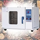 Amazon.com: Air Dryer, Drying Oven Lab Oven, Lab Forced Air Convection Drying Oven Laboratory ...