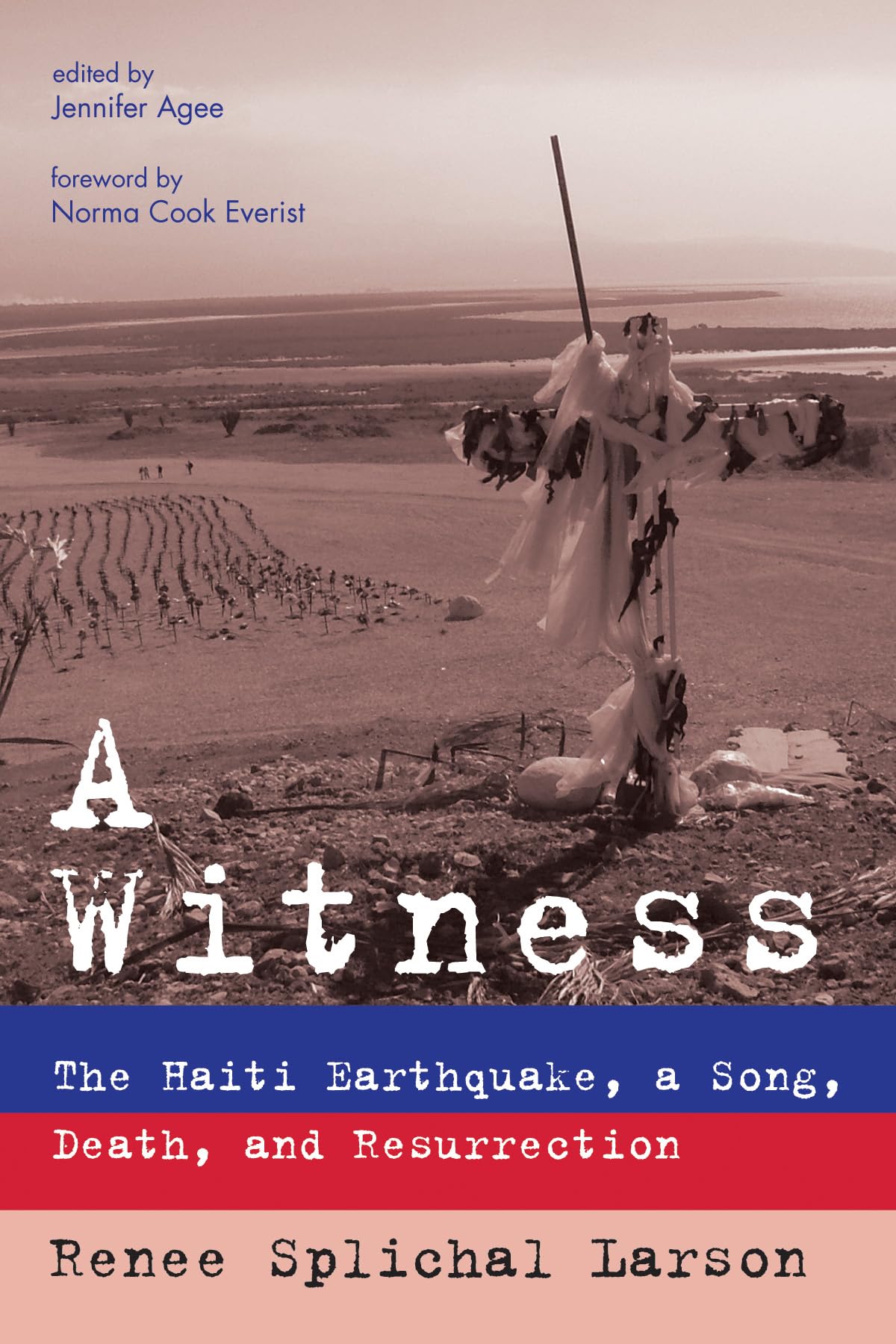 A Witness: The Haiti Earthquake, a Song, Death, and Resurrection ...