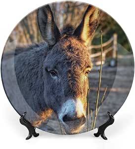 Amazon.com: Donkey Animal Commemorative Decorative Plates for Wall ...