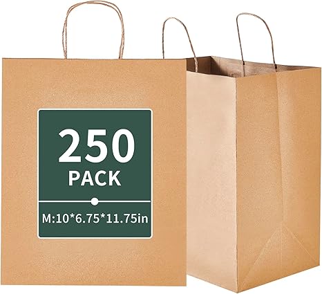 Amazon.com: DealbyBox 250 Pack Brown Paper Bags with Handles - Bulk ...
