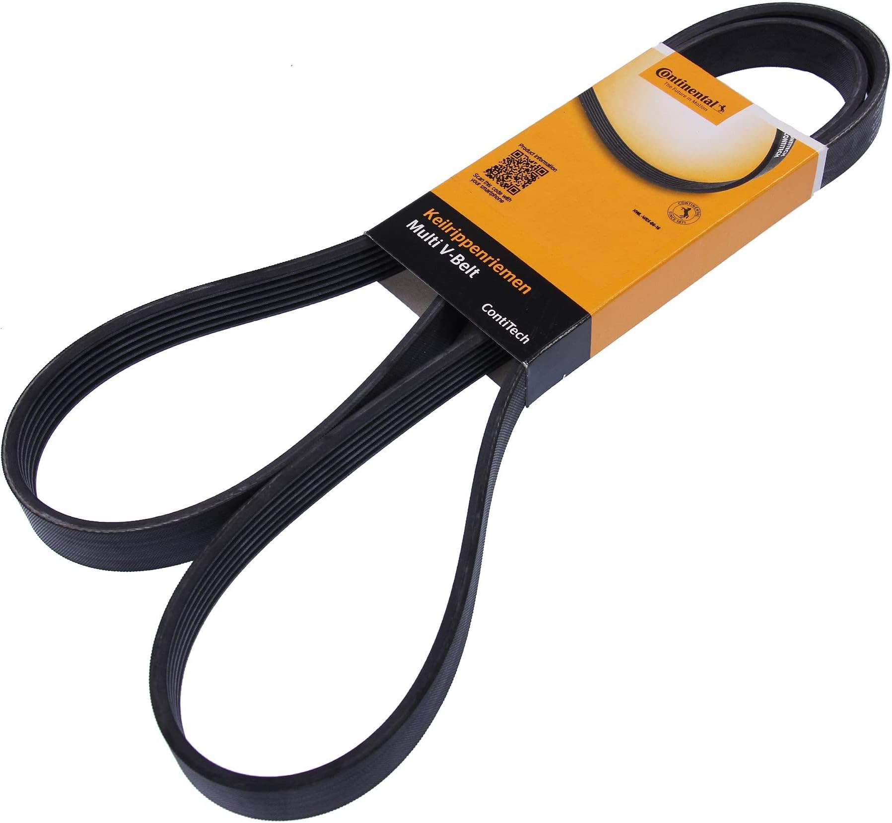 6PK1555 CONTITECH DRIVE BELT OE QUALITY : Amazon.co.uk: Automotive