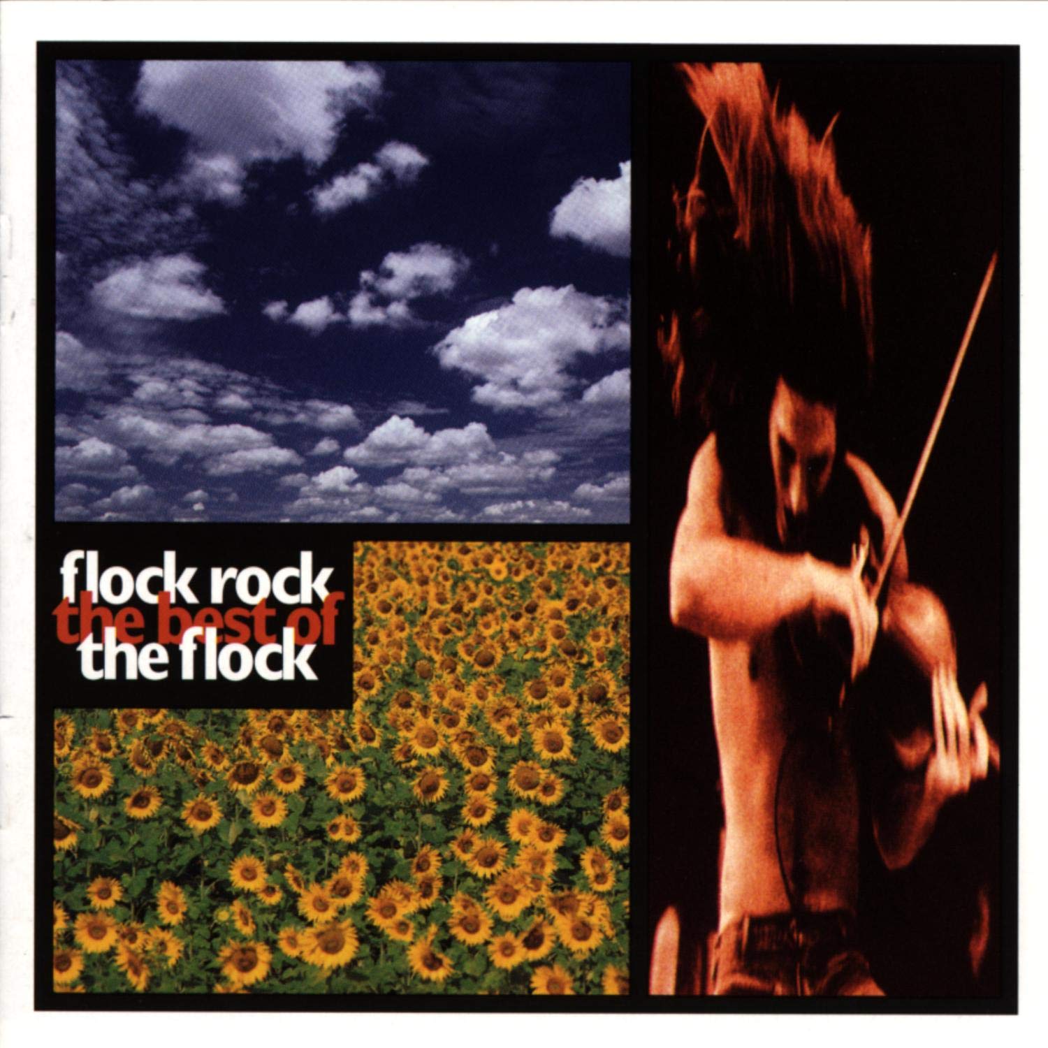 The Flock - Flock Rock: The Best of The Flock - Amazon.com Music