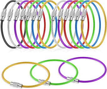 DIVINA VITAE 21 Pcs Wire Keychain Cable Stainless Steel Cable Key Ring ...