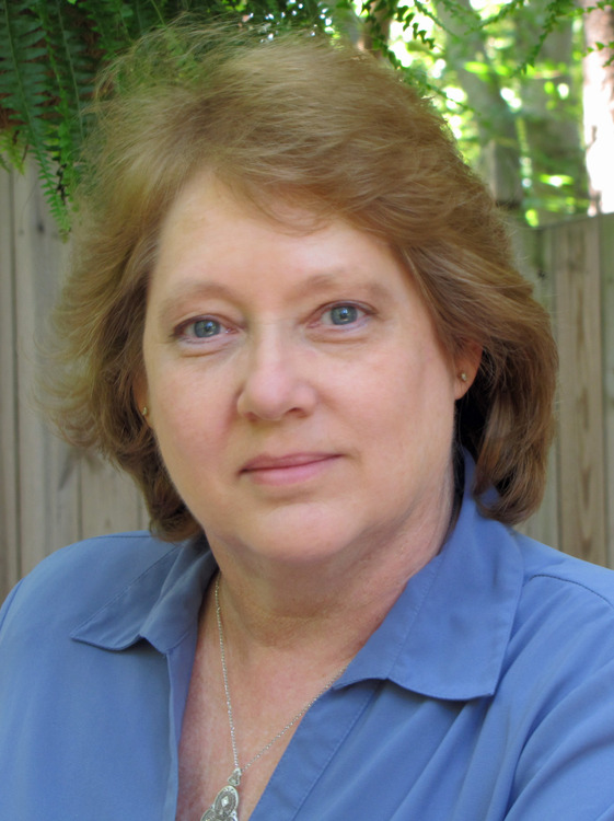 Amazon.com: Nancy Pellicer Dyer: books, biography, latest update