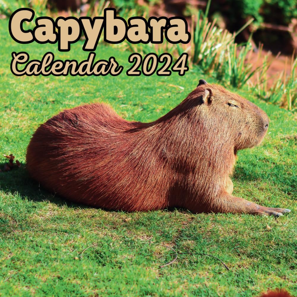 Capybara Calendar 2024: 16 Months Calendar ,Schedule Organizer From ...