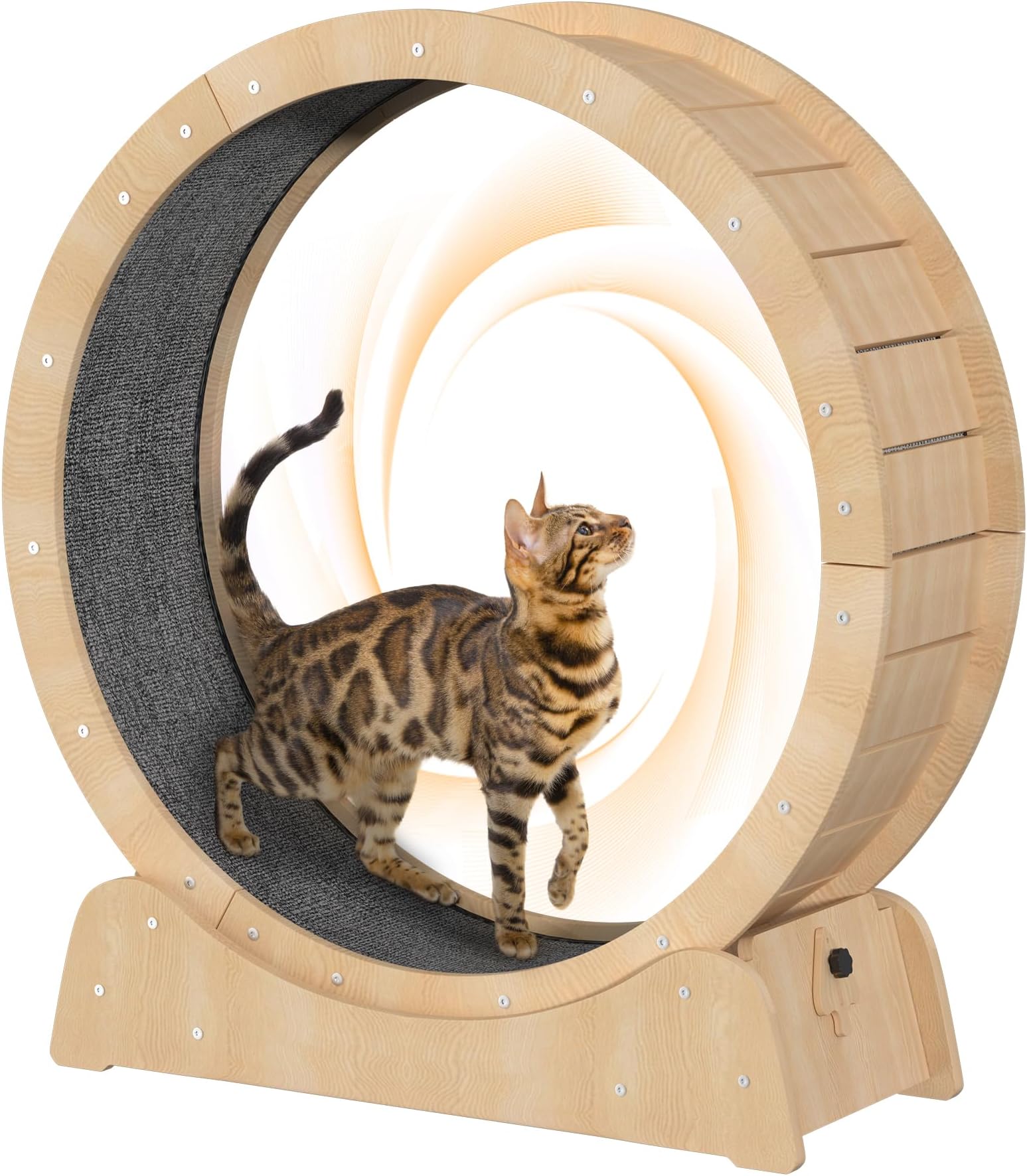 Amazon.com : Nordic Beast 48'' XL Cat Wheel - Cat Wheels for Indoor ...