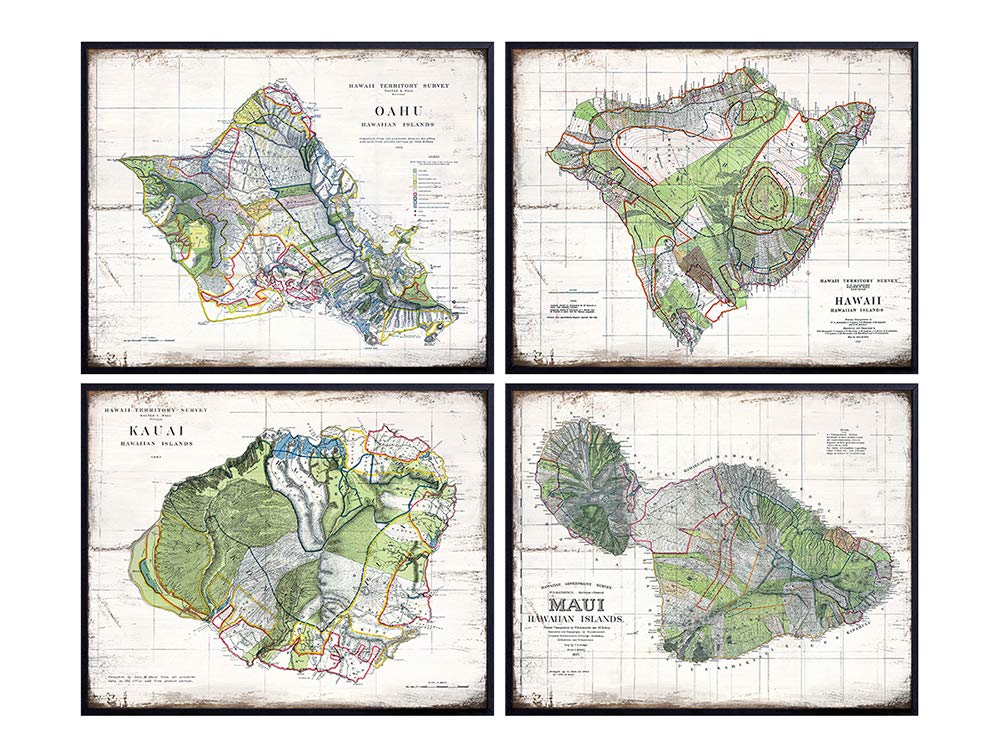 Amazon.com: Rustic Hawaii Wall Decor Set - 8x10 Vintage Hawaiian ...