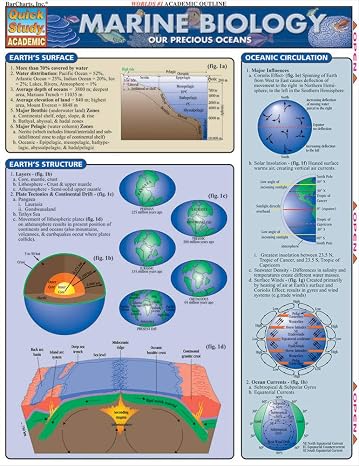 Marine Biology (Quickstudy Reference Guides - Academic): BarCharts, Inc ...