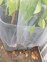 Amazon.com : LHongL Plant Covers Freeze Protection Frost,6 mil ...