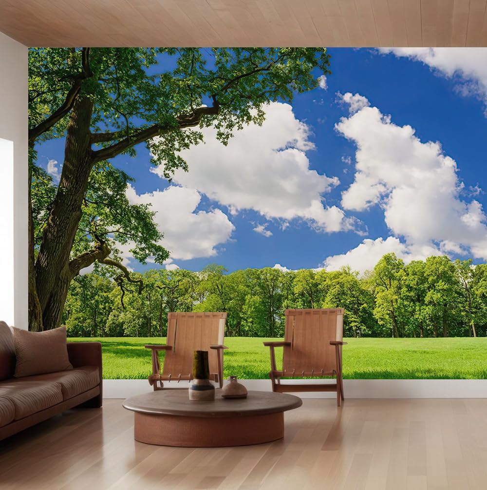 Amazon.com: VistaPalette Sunny Idyllic Scenery Grassland Forest Wall ...
