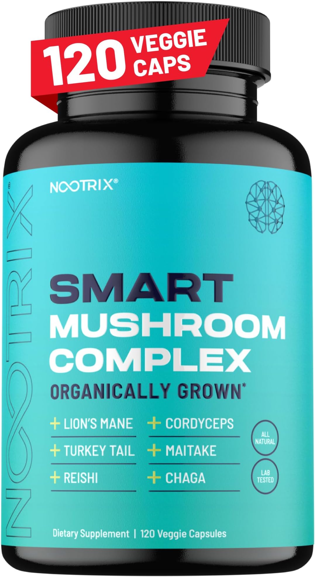 Amazon.com: Smart Mushrooms Brain Supplement | Nootropic for Memory ...