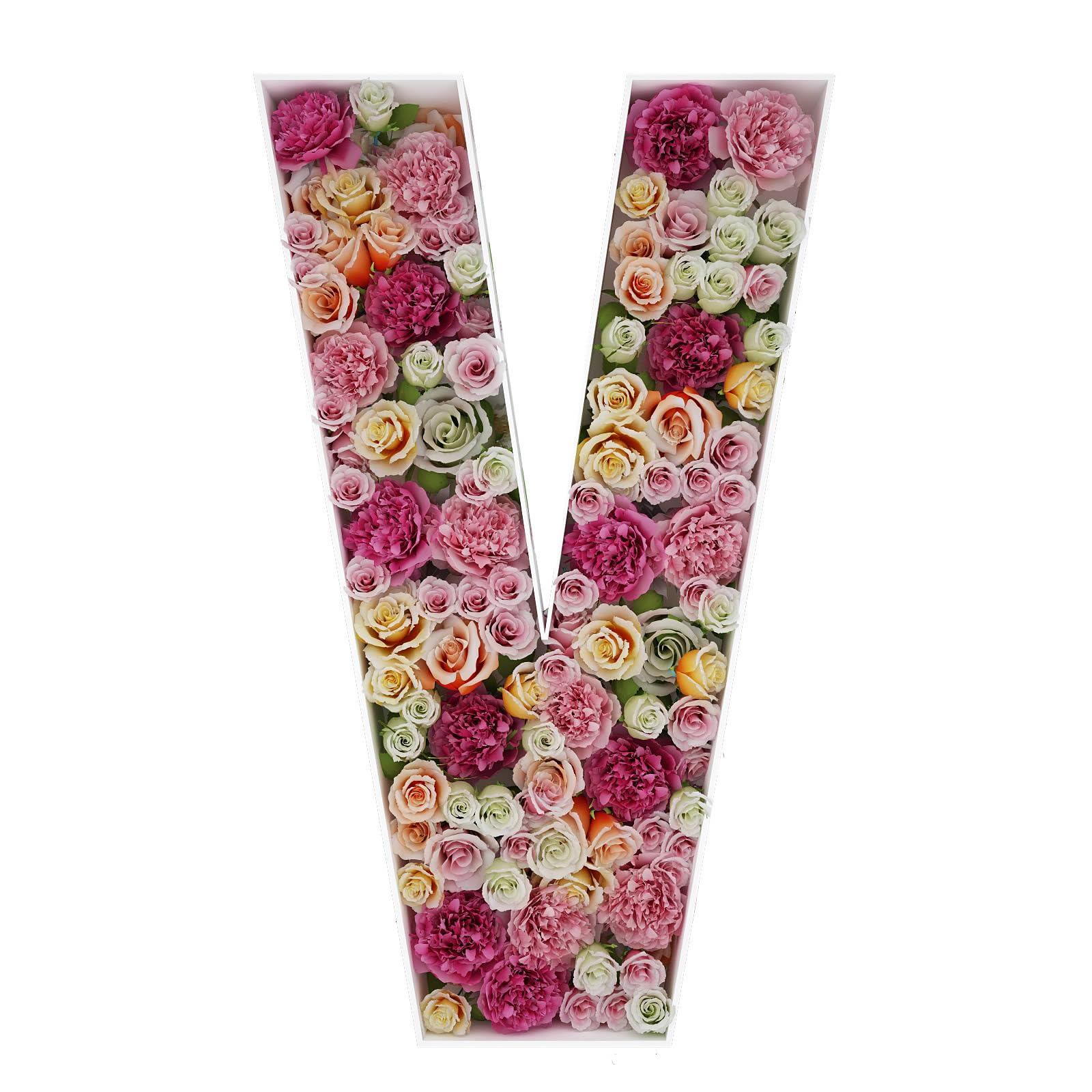 Snapklik.com : 2FT Letter V Mosaic Balloon Frame Letter DIY Fillable ...