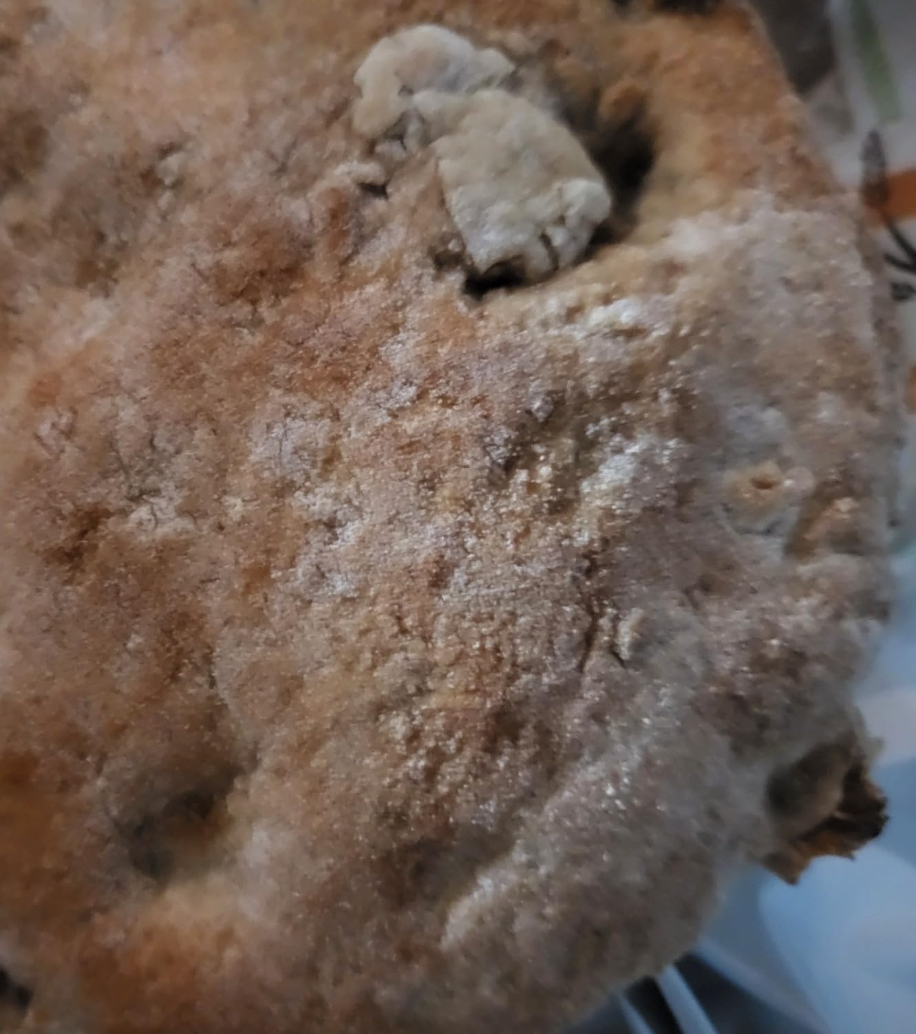 Amazon.com: Ozery Bakery Morning Rounds Apple Cinnamon, 12.7 oz (Frozen ...