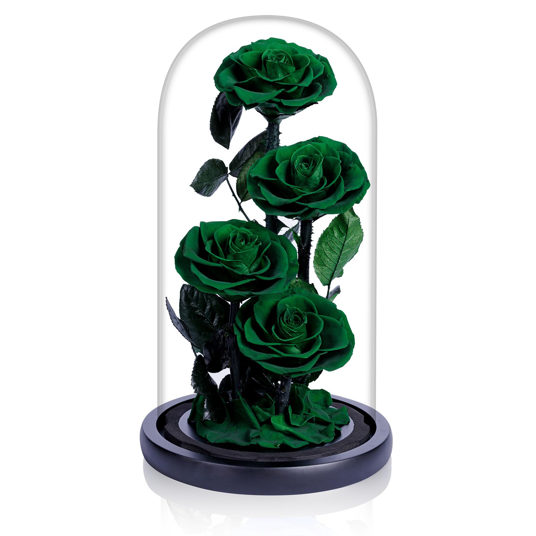 Preserved Flowers in Glass Dome - Forever Real Roses Gifts for Women ...