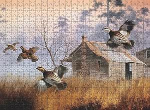 Amazon.com: Partridge Hunting Puzzles for Adults 1000 Pieces, Farm Hunt ...