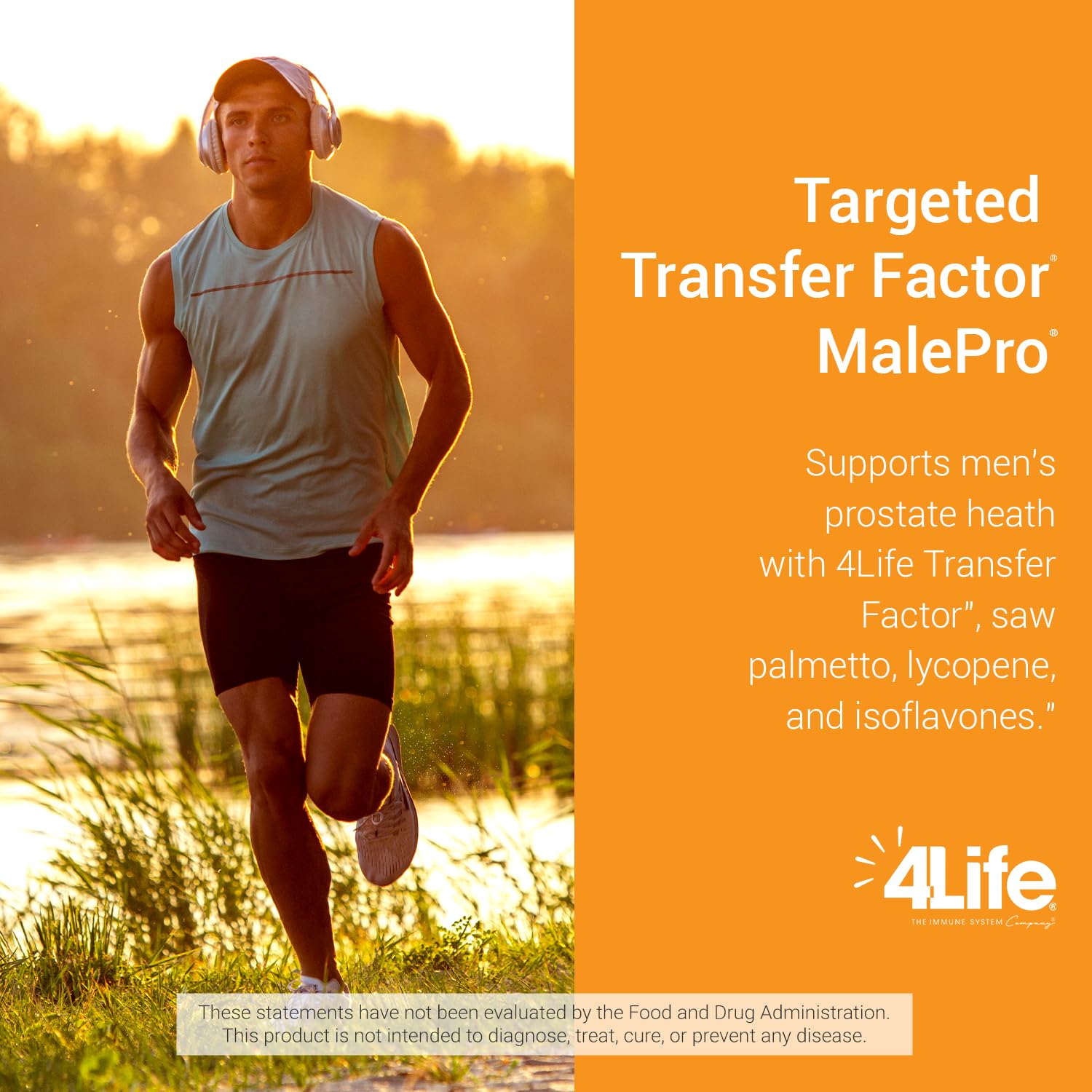 4Life Transfer Factor MalePro – Apoia a Saúde da Próstata e do Trato ...