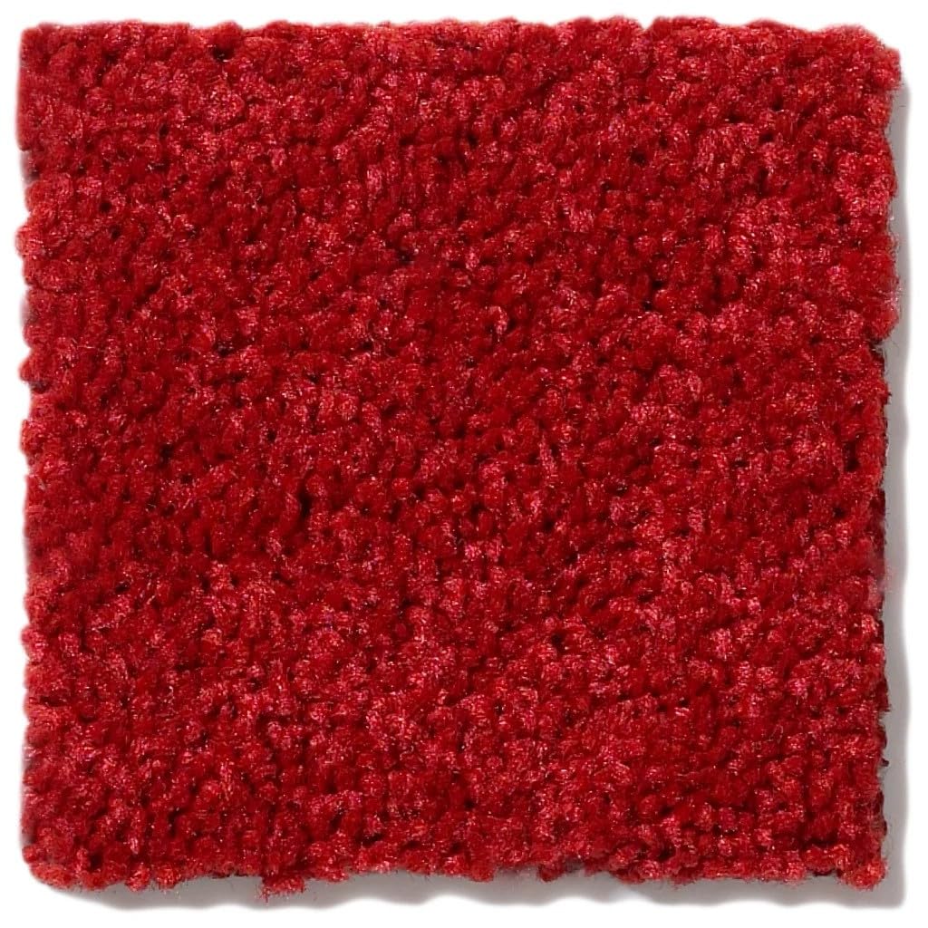 Amazon.com: KOECKRITZ Rugs 'Your Rug' Indoor Area Rug | Soft & Colorful ...