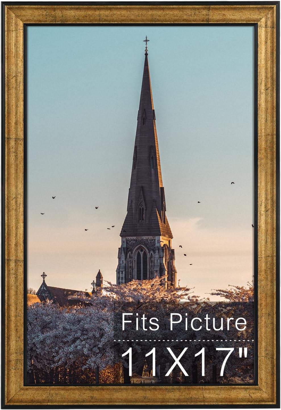 Amazon.com - AUEAR, 11X17 Picture Frame Without Mat to Display 11X17 ...