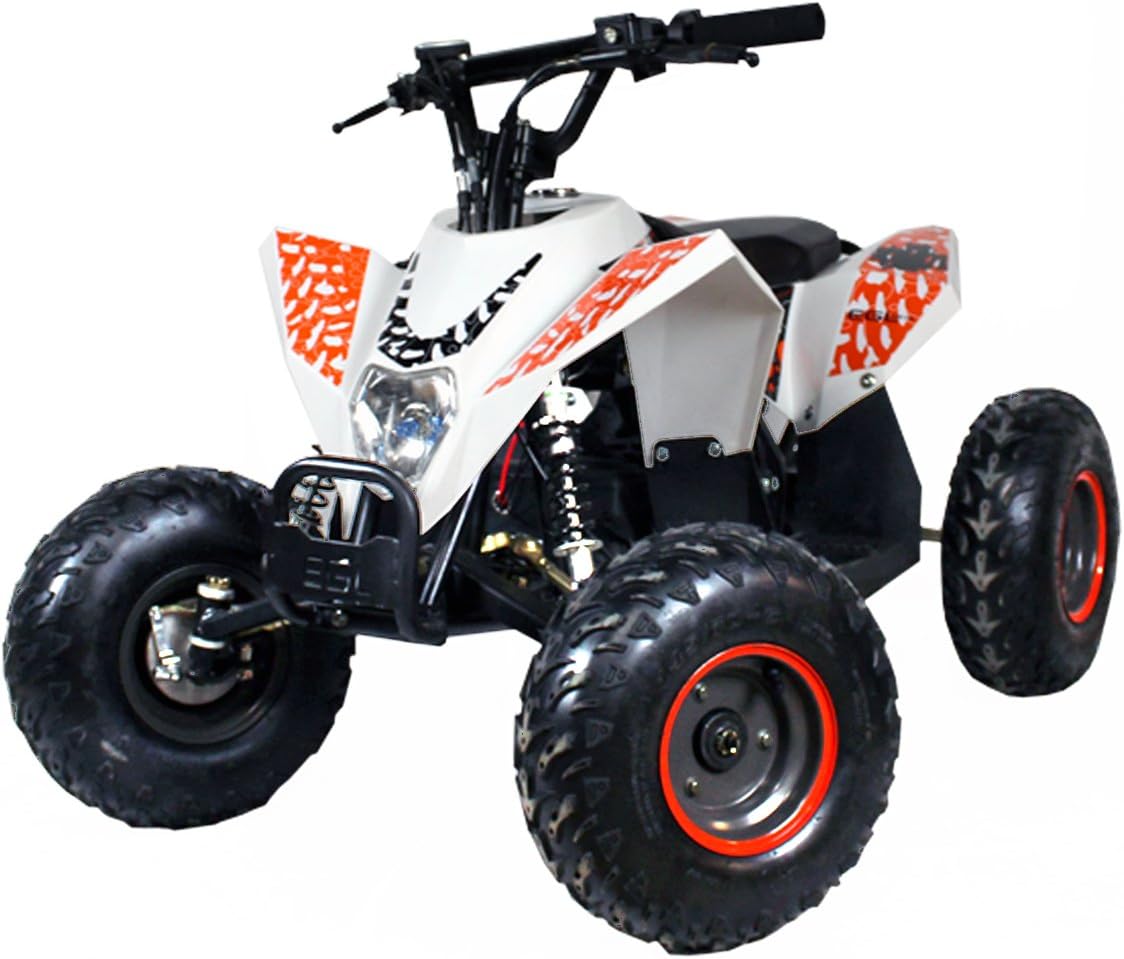Amazon.com: Sino Hiro E-Madix 1000w Electric Outdoor Kids Mini ATV Quad ...