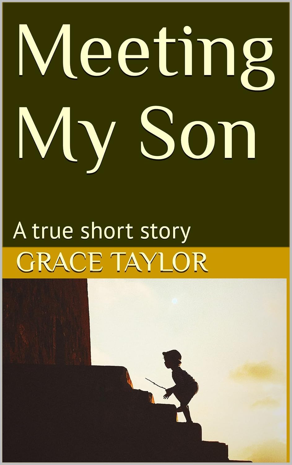 Meeting My Son: A true short story eBook : Taylor, Grace: Amazon.in ...