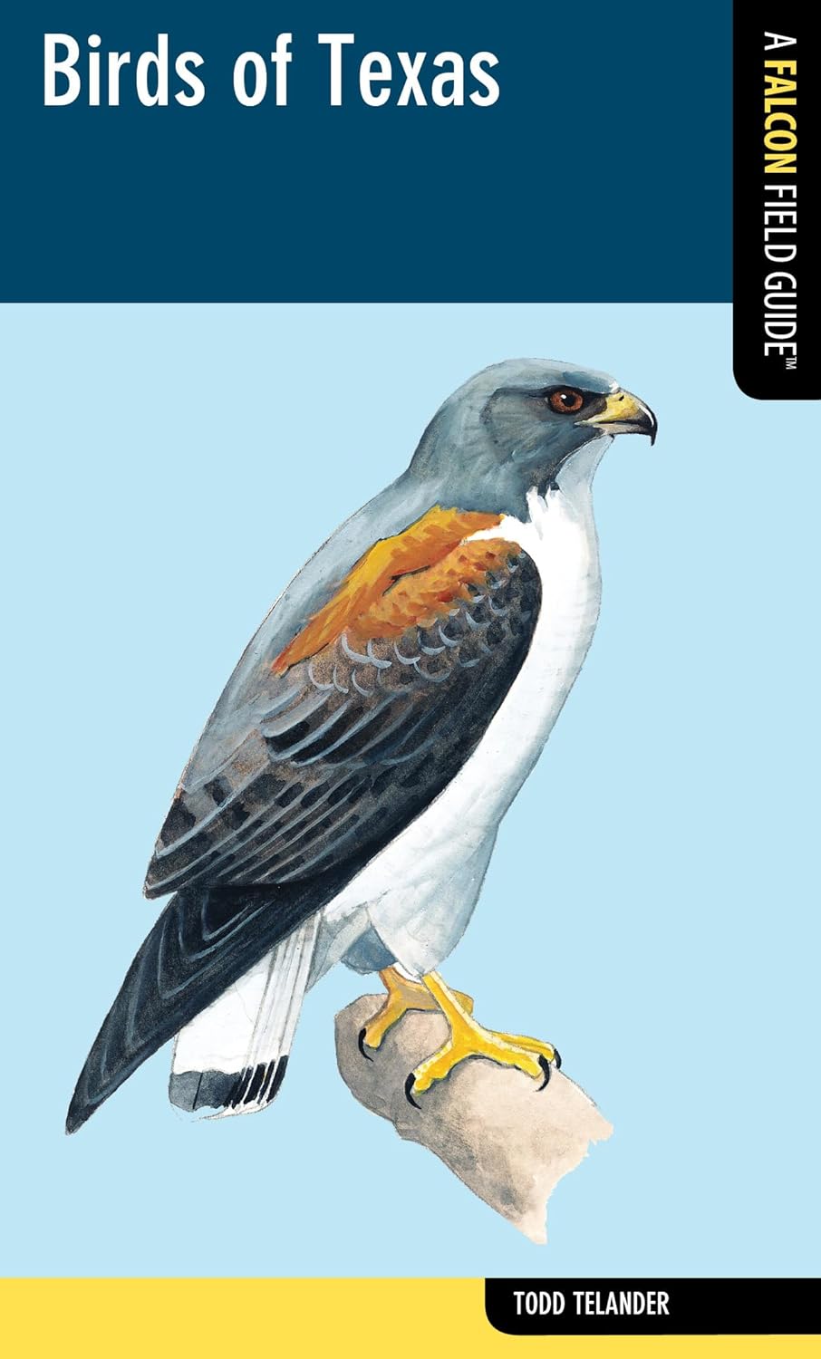 Birds of Texas (Falcon Field Guide Series): Telander, Todd ...