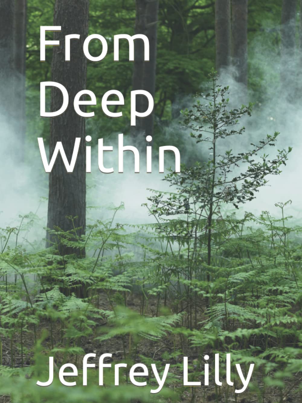 From Deep Within: Lilly, Jeffrey: 9798838030252: Amazon.com: Books